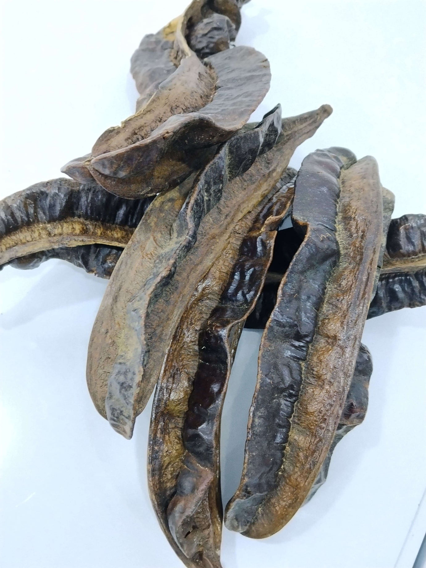Prekese (Uyayak) – OjaOba.com