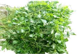 Ewedu – Fresh (Bunch) – OjaOba.com